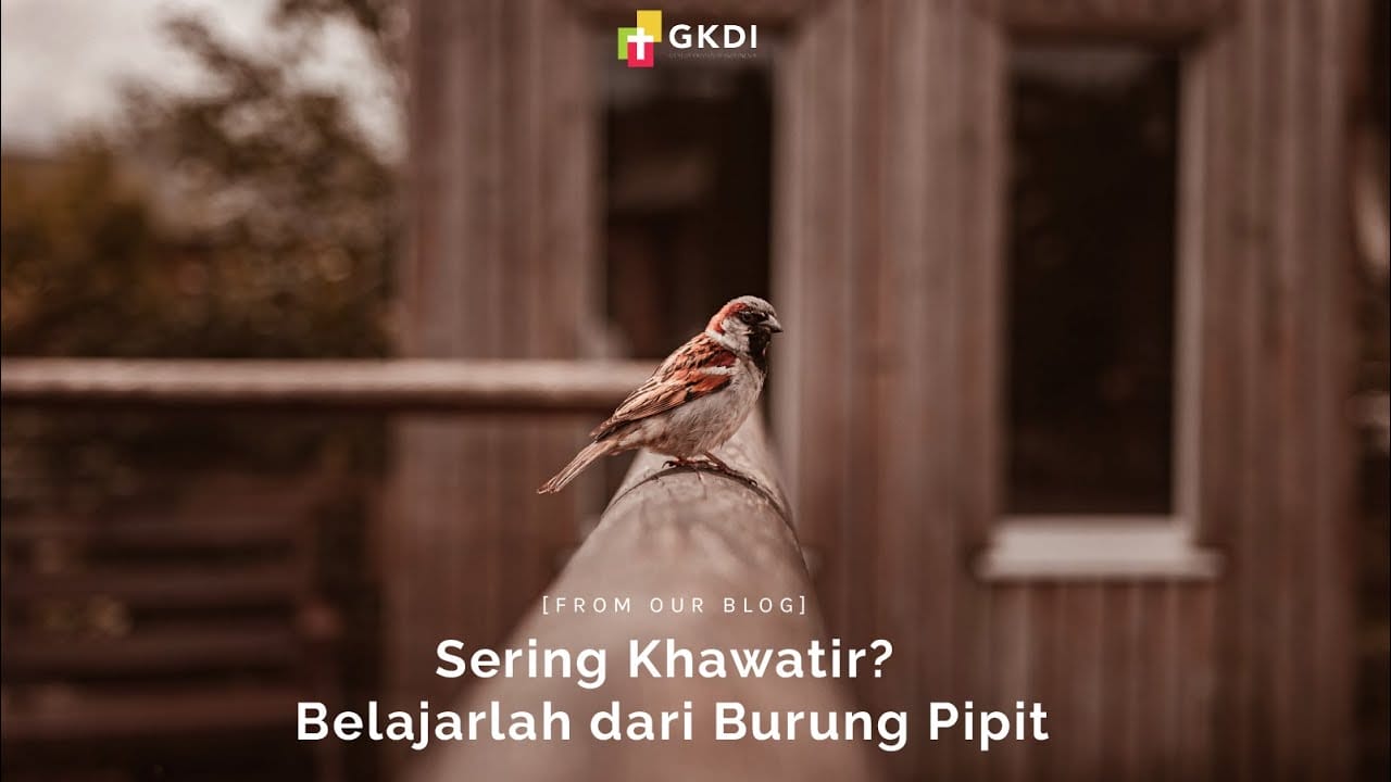 Sering Khawatir? Belajarlah dari Burung Pipit | Inspirasi & Motivasi ... Sering Khawatir? Belajarlah dari Burung Pipit | Inspirasi & Motivasi ...